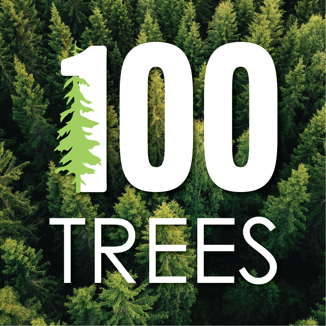 Home [delawarecelebratestore.liftoff.shop]